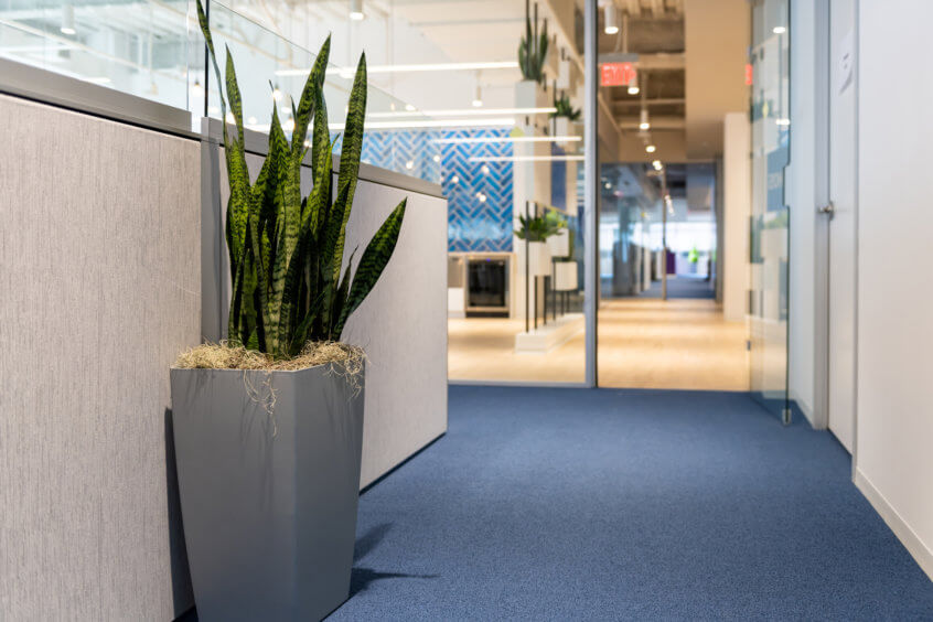 LEED v4.1 and Low-Emitting Building Materials - McKenney's Inc.